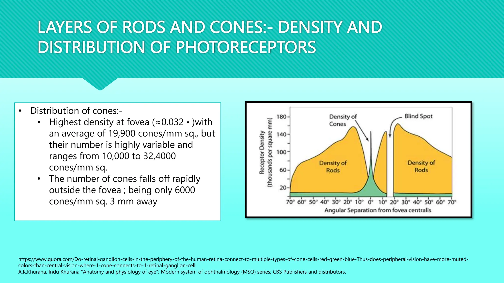 ANATOMY AND PHYSIOLOGY OF RETINA ( Part 2)[1].pptx
