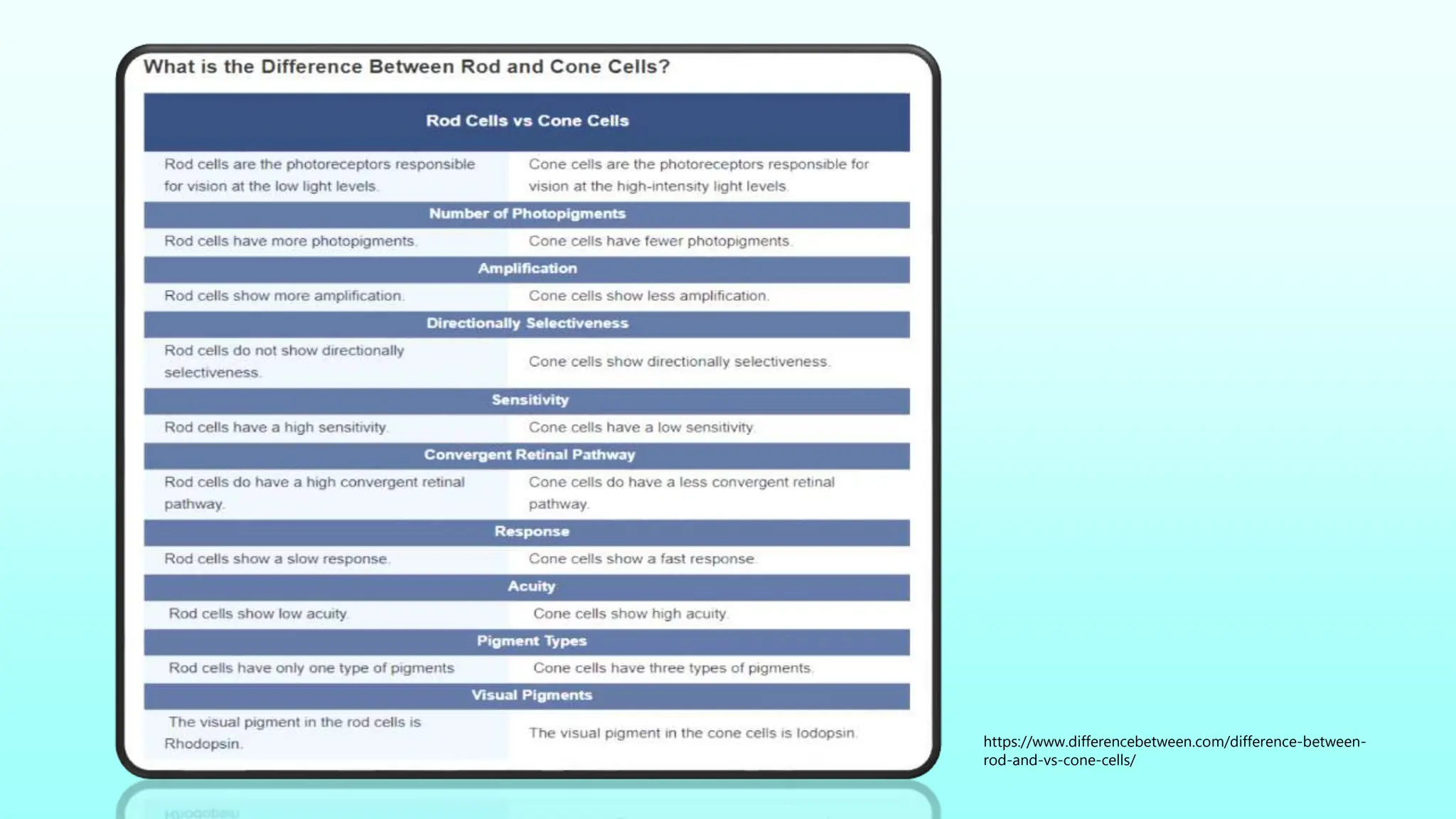 ANATOMY AND PHYSIOLOGY OF RETINA ( Part 2)[1].pptx