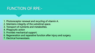 ANATOMY AND PHYSIOLOGY OF RETINA ( Part 2)[1].pptx