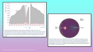 ANATOMY AND PHYSIOLOGY OF RETINA ( Part 2)[1].pptx