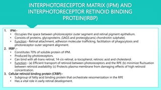 ANATOMY AND PHYSIOLOGY OF RETINA ( Part 2)[1].pptx