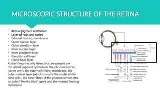 ANATOMY AND PHYSIOLOGY OF RETINA ( Part 2)[1].pptx