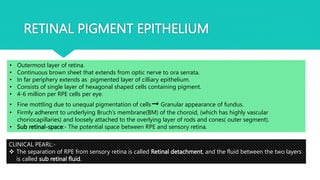 ANATOMY AND PHYSIOLOGY OF RETINA ( Part 2)[1].pptx | Free Download