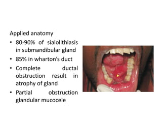 Anatomy and physiology of salivary gland | PPTX