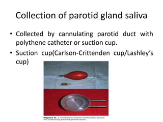 Anatomy and physiology of salivary gland | PPTX