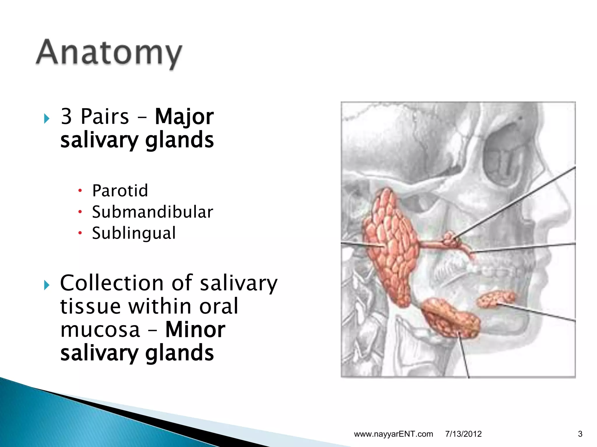 Anatomy and physiology of salivary glands | PPTX
