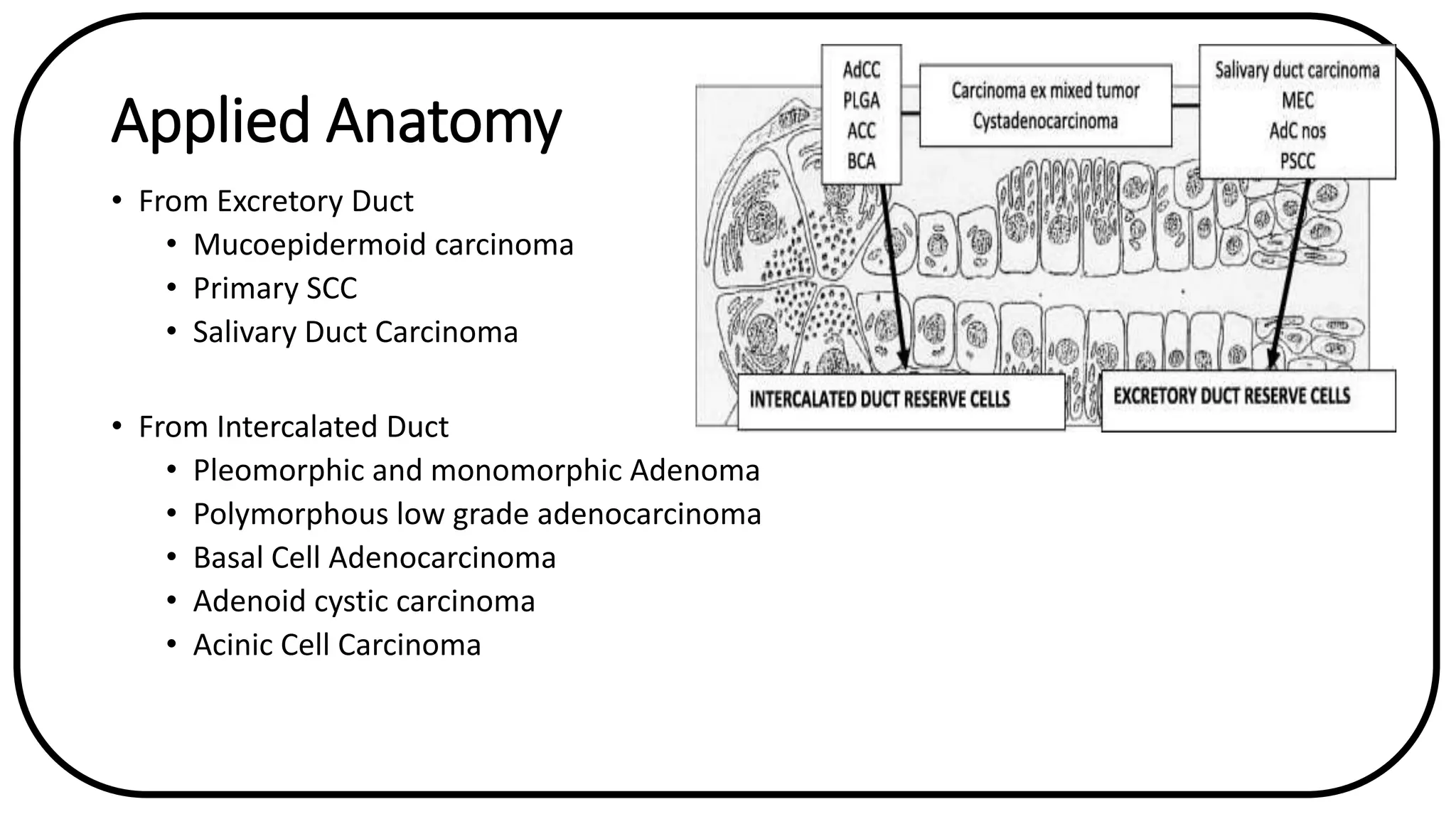 Anatomy and physiology of salivary glands | PPTX