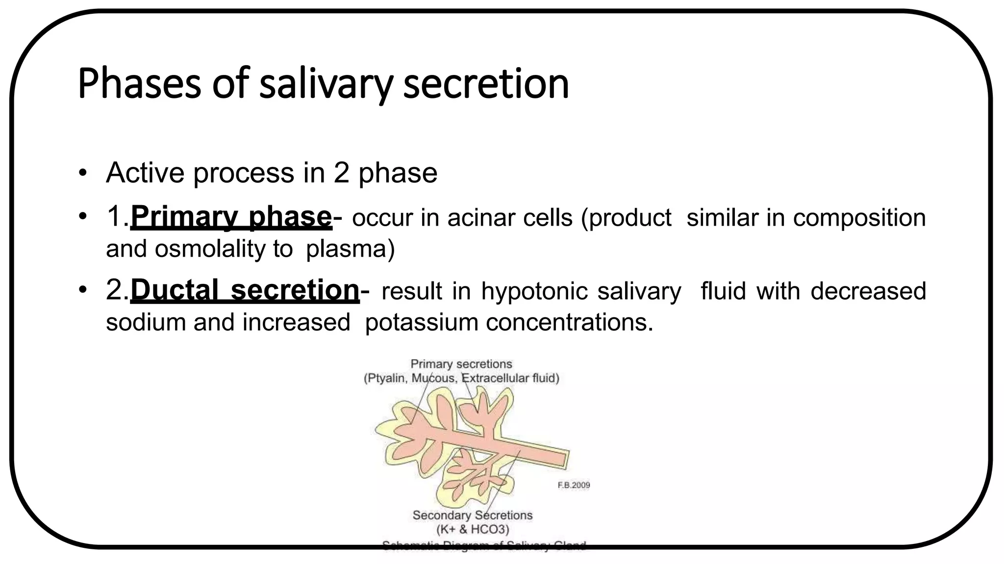 Anatomy and physiology of salivary glands | PPTX