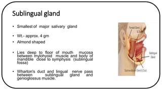 Anatomy and physiology of salivary glands | PPTX