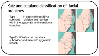Anatomy and physiology of salivary glands | PPT