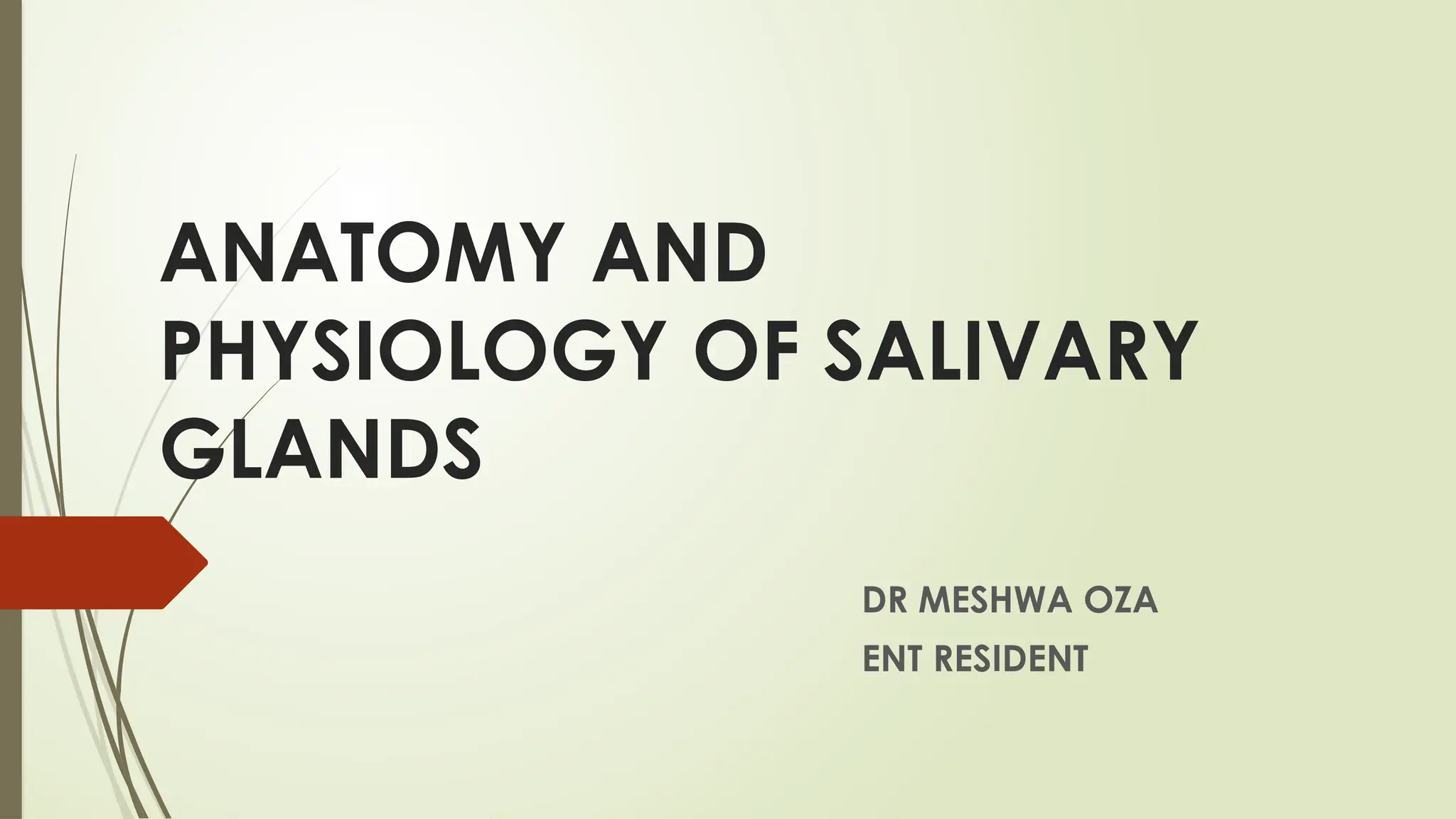 ANATOMY AND PHYSIOLOGY OF SALIVARY GLANDS.pptx