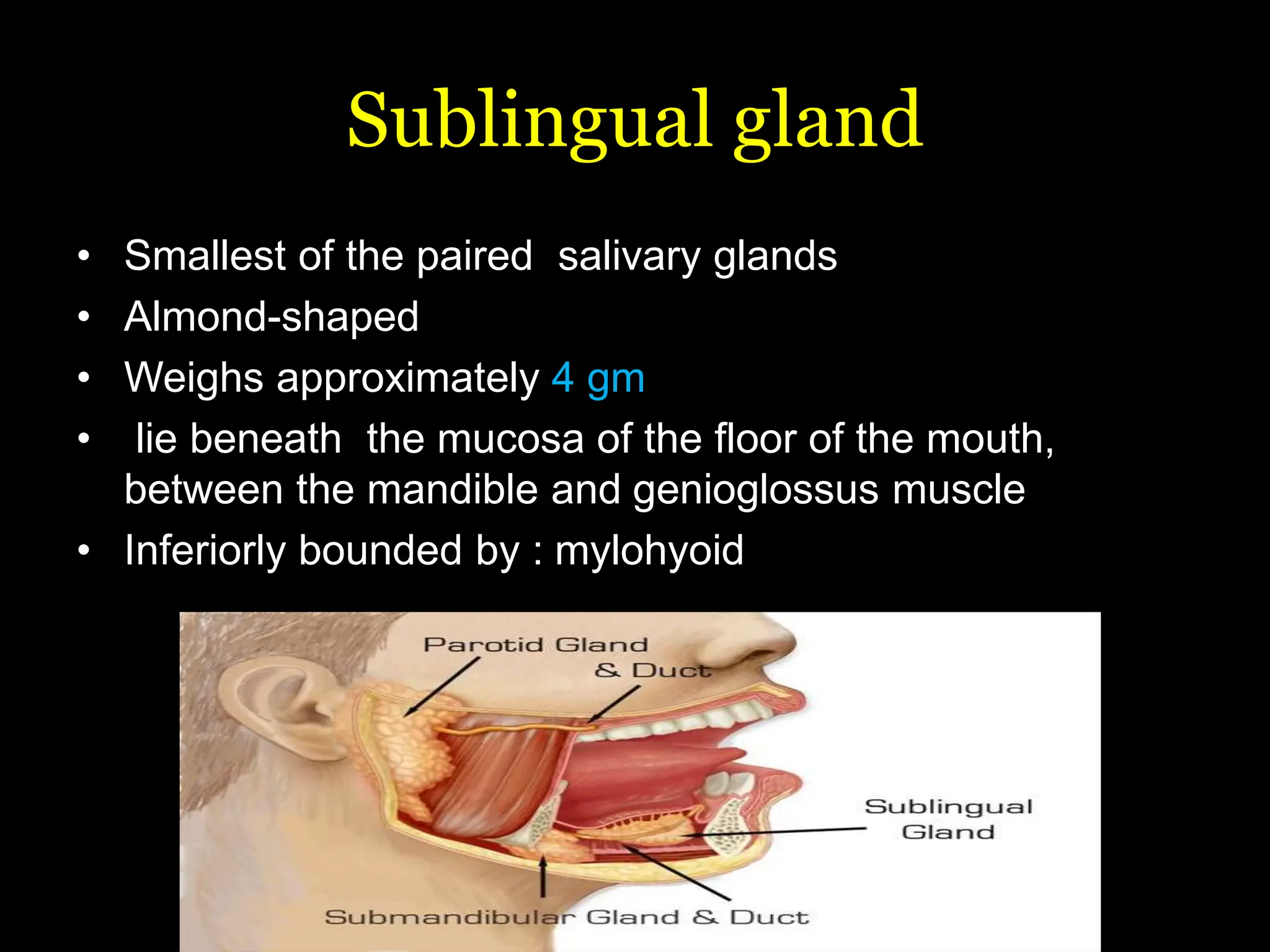 ANATOMY AND PHYSIOLOGY OF SALIVARY GLANDS 12.05.pptx