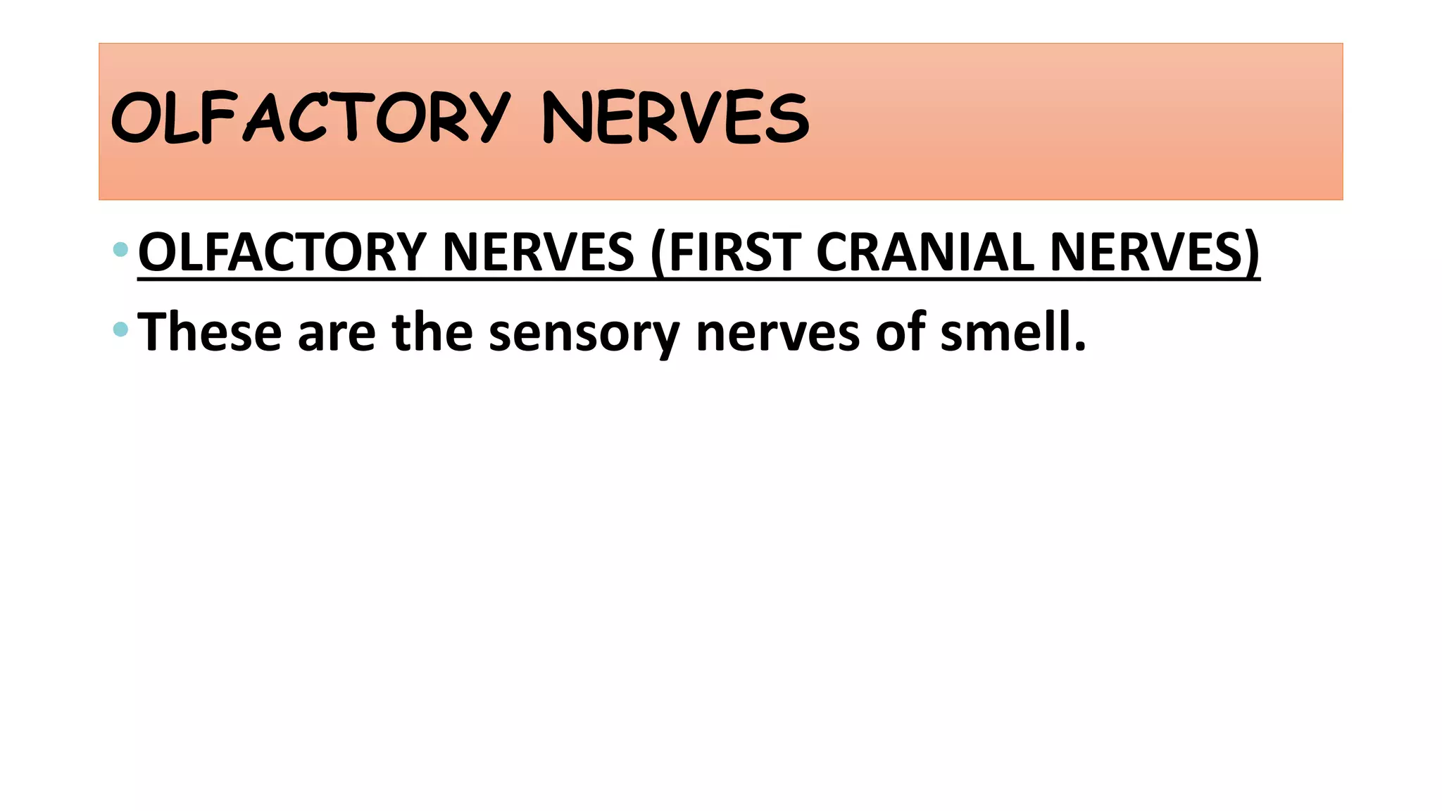 Anatomy and physiology of sense of smell | PPTX