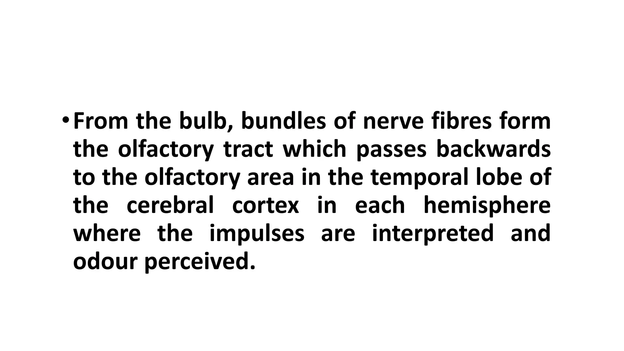 Anatomy and physiology of sense of smell | PPTX