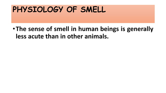 Anatomy and physiology of sense of smell | PPTX | Ear, Nose and Throat ...
