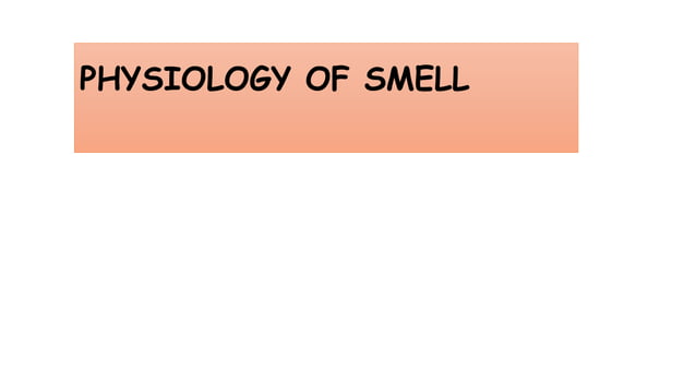 Anatomy and physiology of sense of smell | PPTX | Ear, Nose and Throat ...