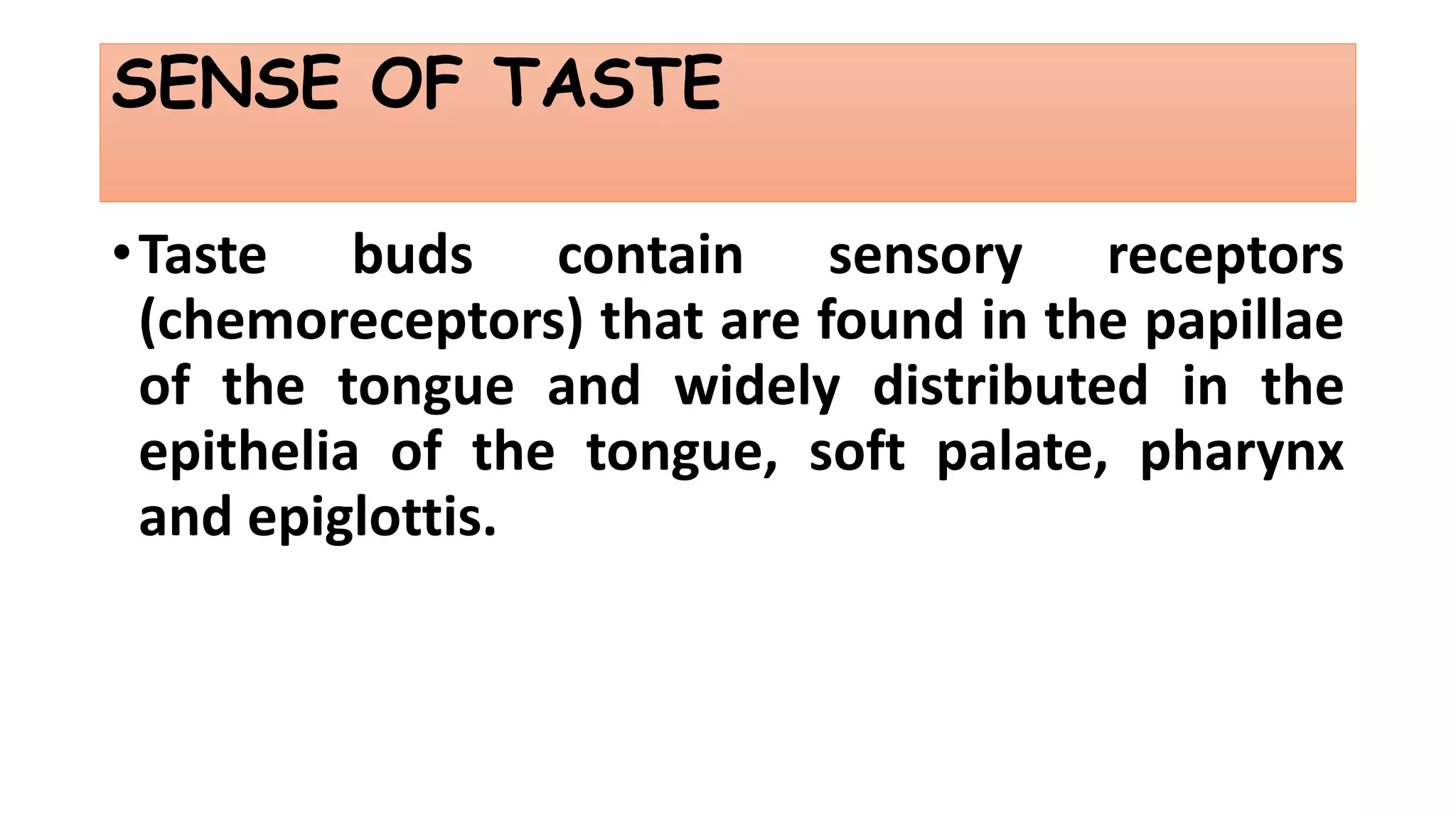Anatomy and physiology of sense of taste | PPTX