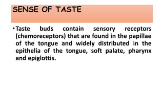 Anatomy and physiology of sense of taste | PPTX