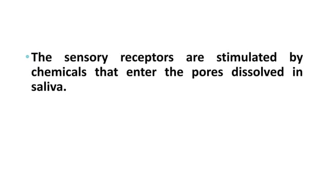 Anatomy and physiology of sense of taste | PPTX