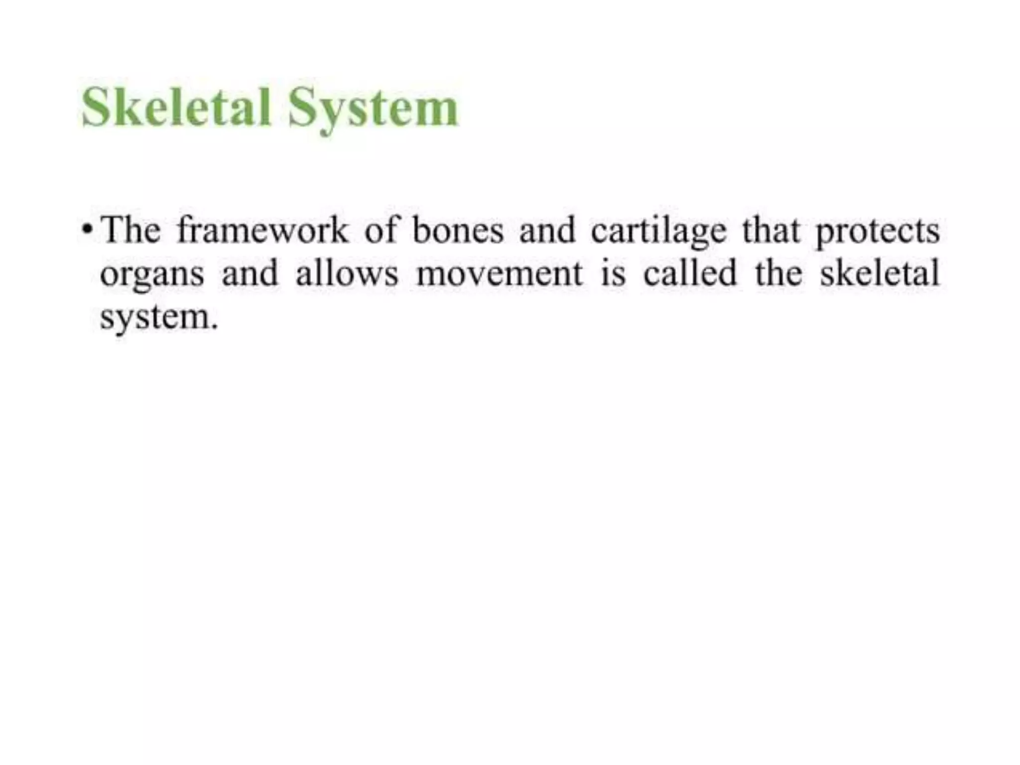 Anatomy and Physiology of Skeletal System.pptx