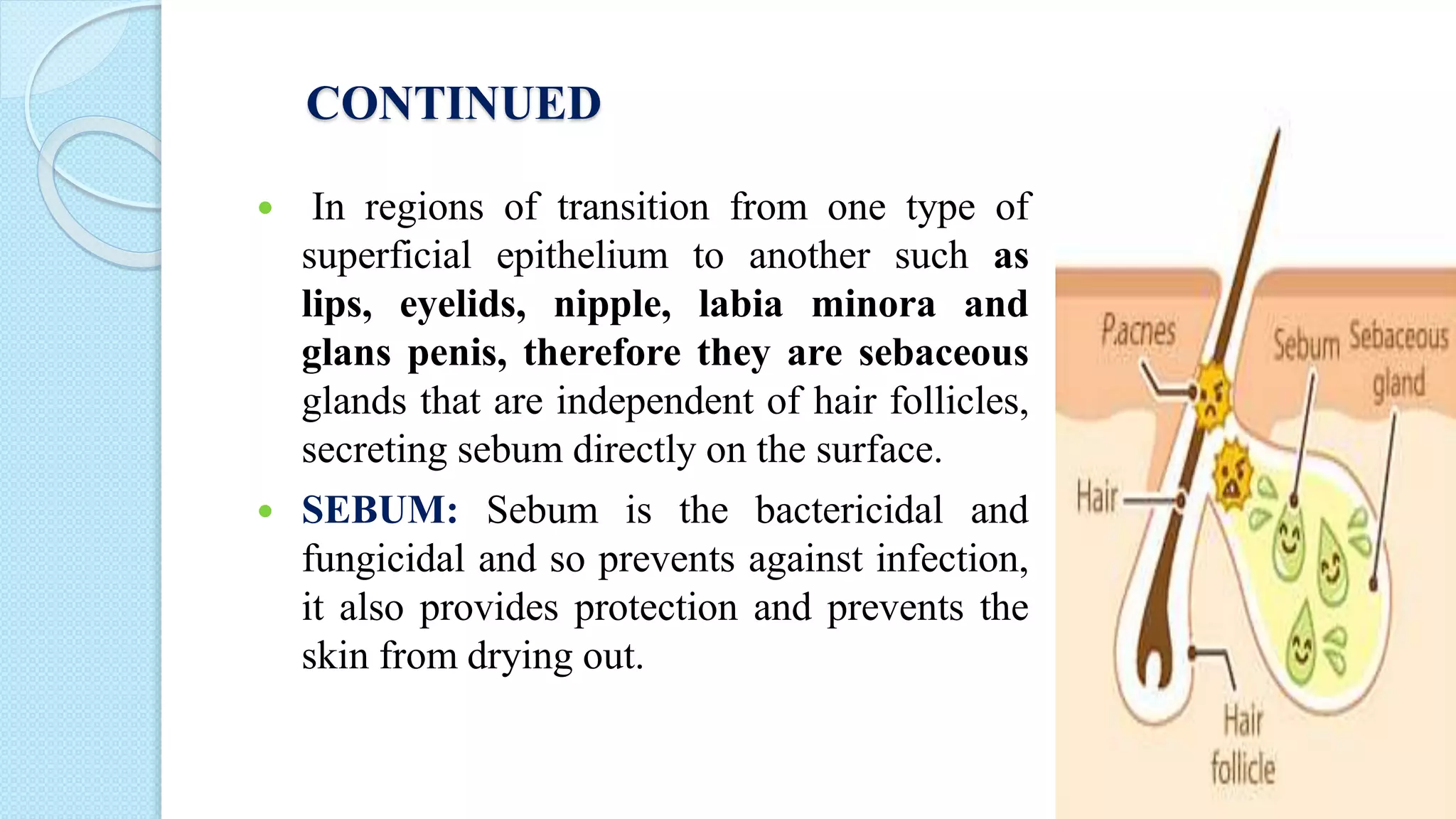 Anatomy and physiologyof skin | PPTX