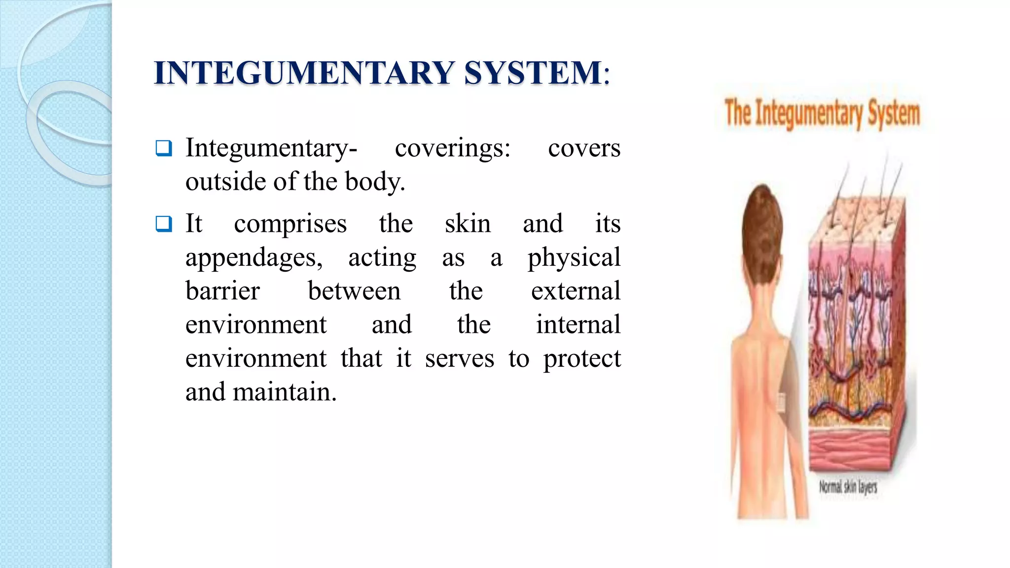 Anatomy and physiologyof skin | PPTX