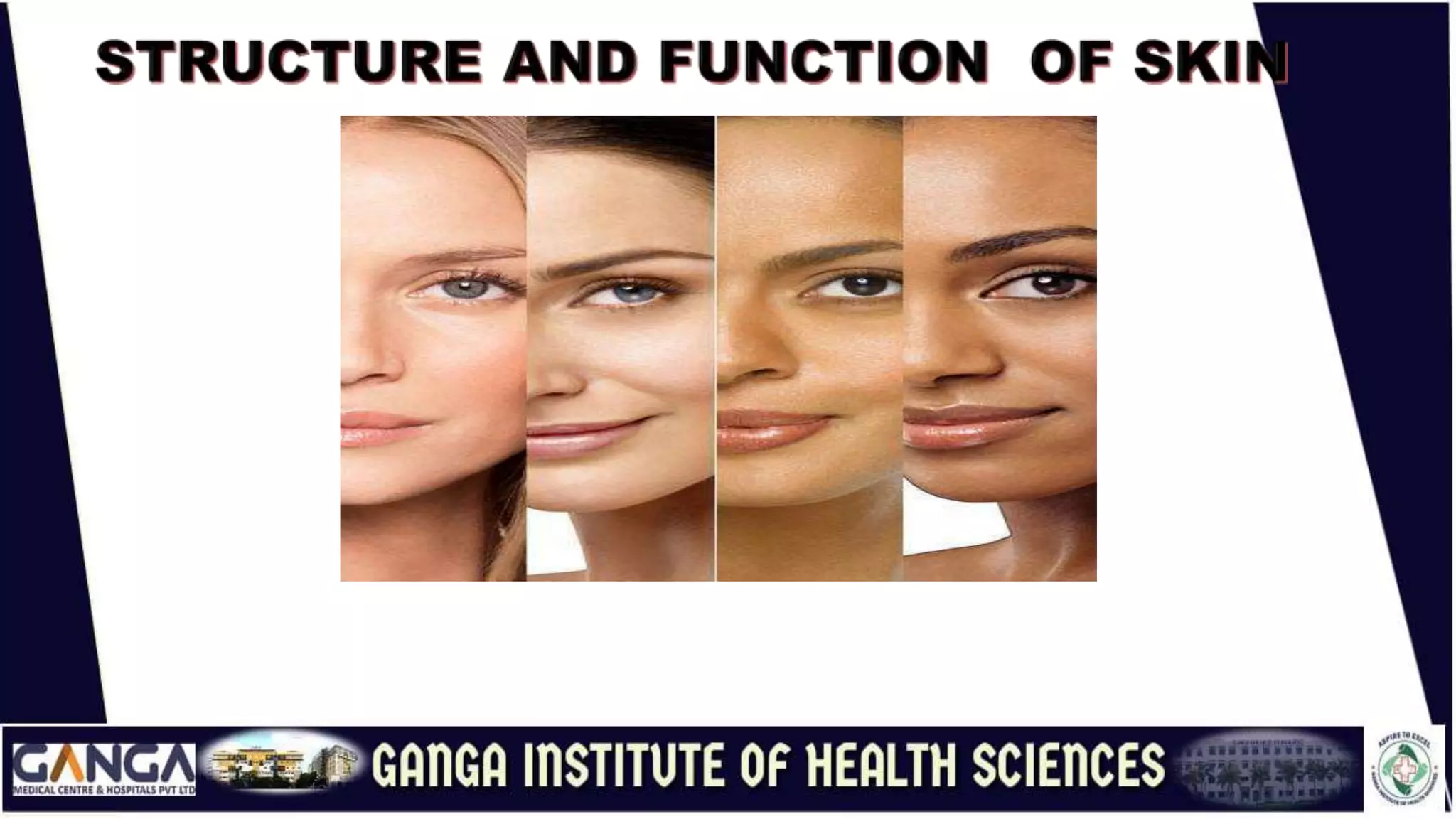 ANATOMY AND PHYSIOLOGY OF SKIN.pptx | Skin and Dermatology | Diseases ...