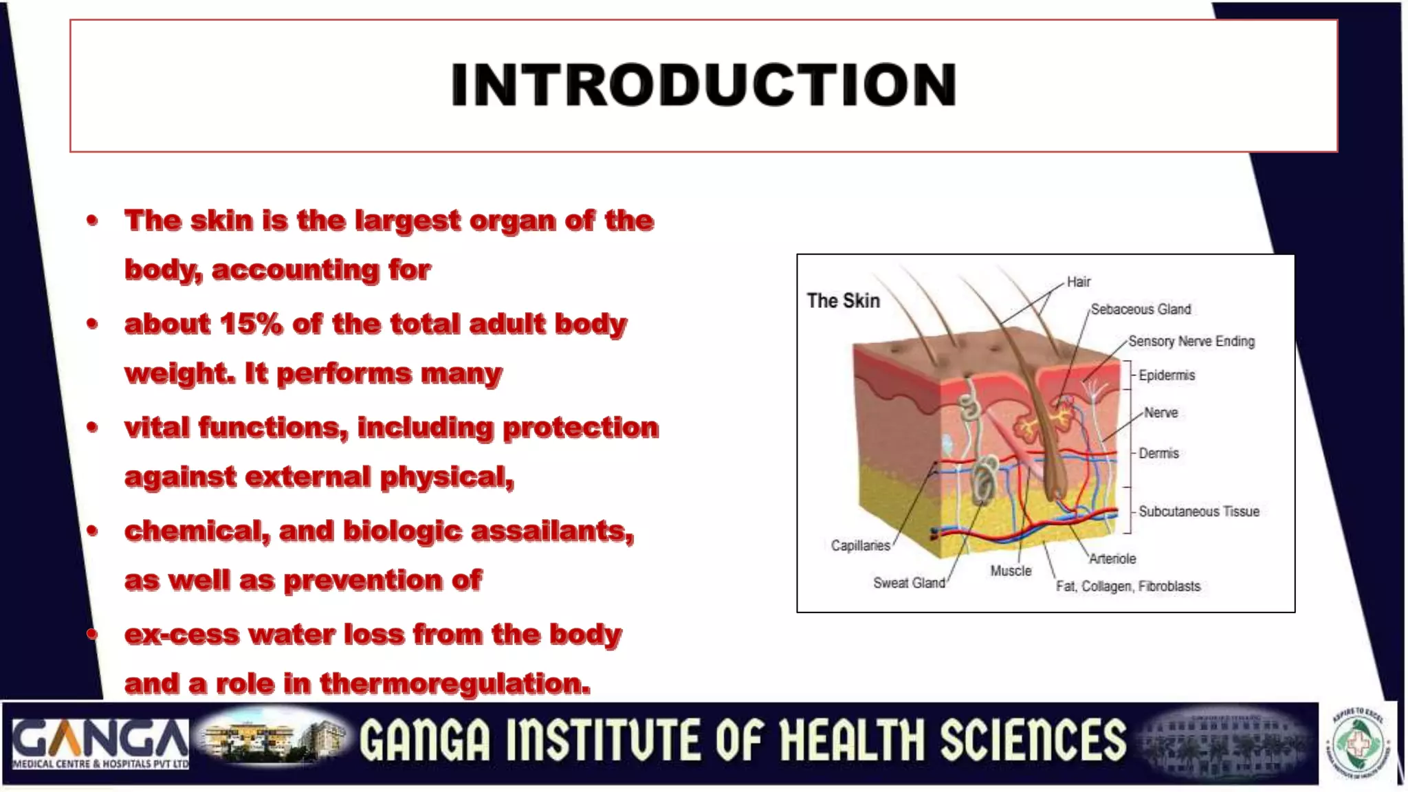 ANATOMY AND PHYSIOLOGY OF SKIN.pptx | Skin and Dermatology | Diseases ...