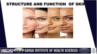 ANATOMY AND PHYSIOLOGY OF SKIN.pptx | Skin and Dermatology | Diseases ...