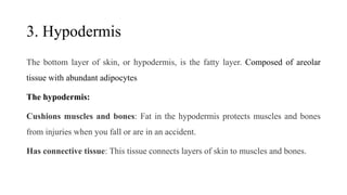 ANATOMY AND PHYSIOLOGY OF SKIN.pptx