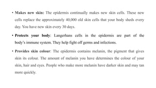 ANATOMY AND PHYSIOLOGY OF SKIN.pptx