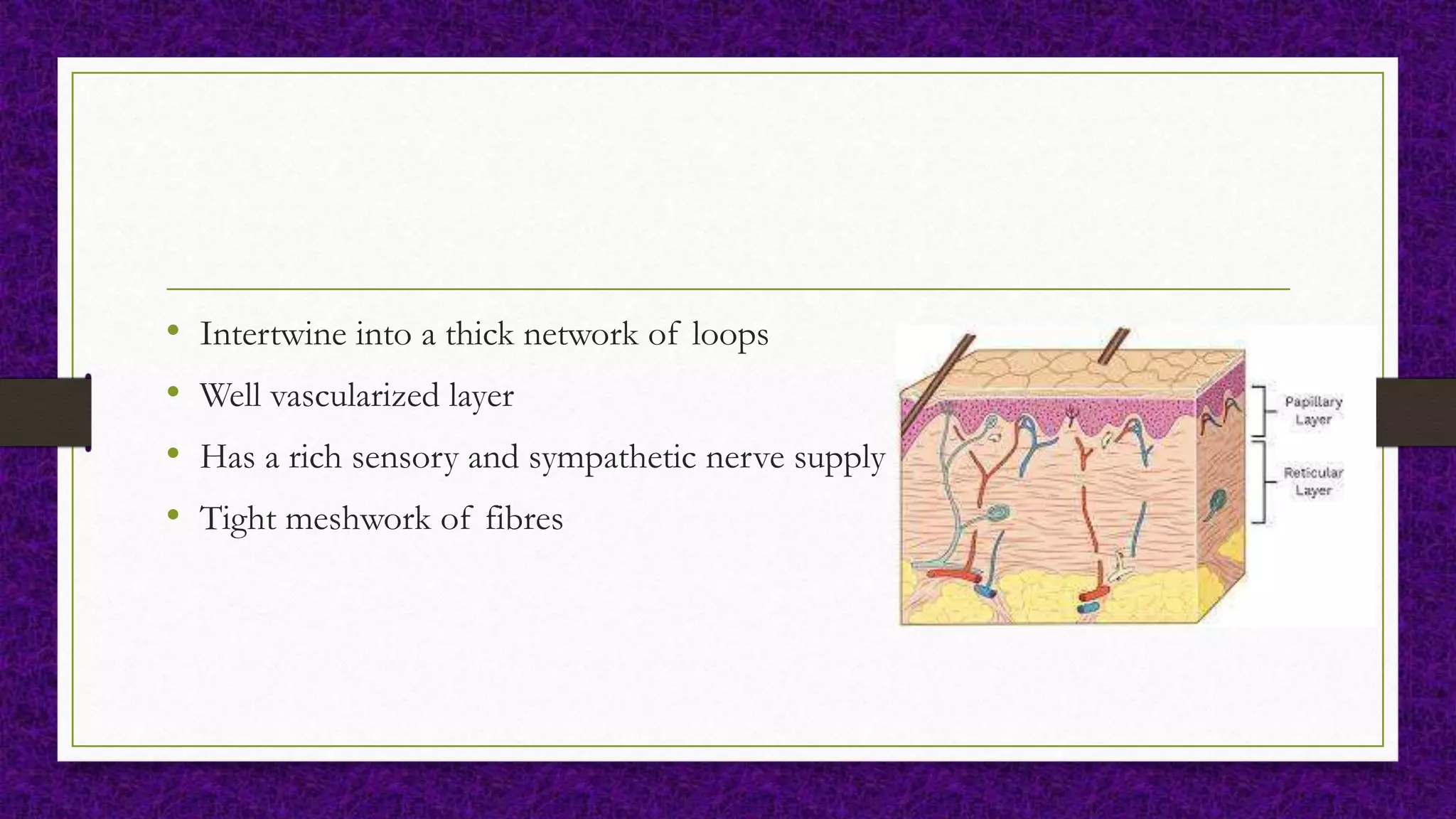 ANATOMY AND PHYSIOLOGY OF SKIN.pptx