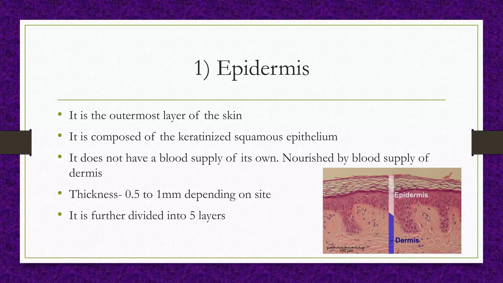 ANATOMY AND PHYSIOLOGY OF SKIN.pptx