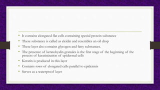 ANATOMY AND PHYSIOLOGY OF SKIN.pptx