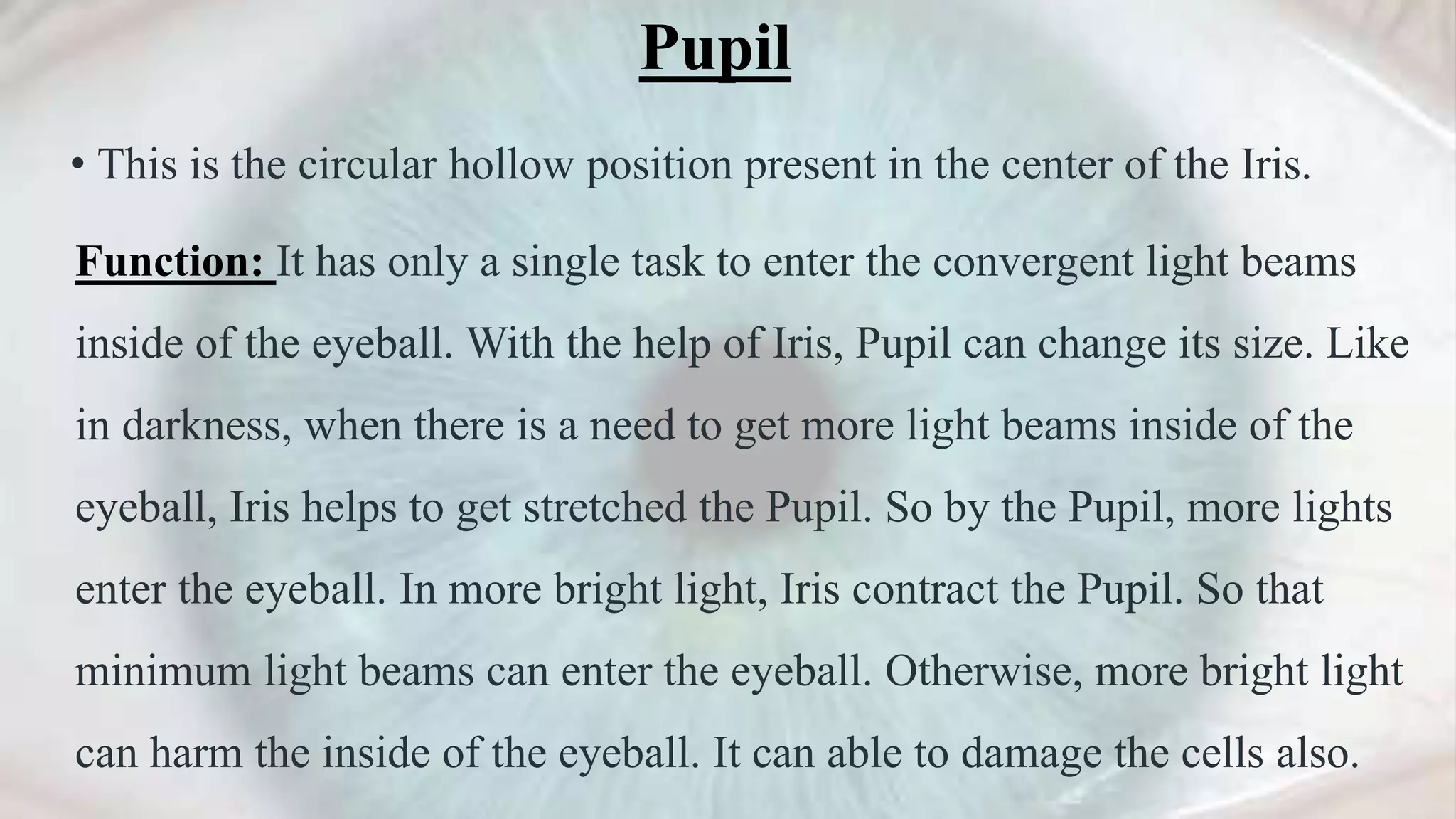 ANATOMY AND PHYSIOLOGY OF SPECIAL SENSES.pptx