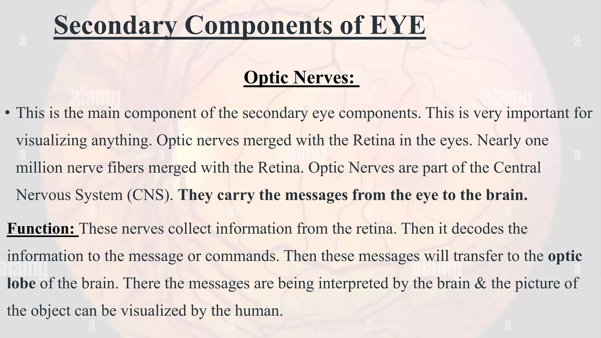 ANATOMY AND PHYSIOLOGY OF SPECIAL SENSES.pptx