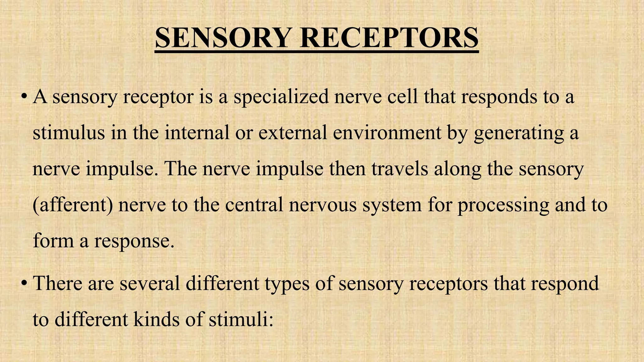 ANATOMY AND PHYSIOLOGY OF SPECIAL SENSES.pptx