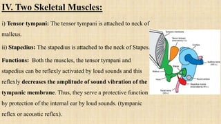 ANATOMY AND PHYSIOLOGY OF SPECIAL SENSES.pptx