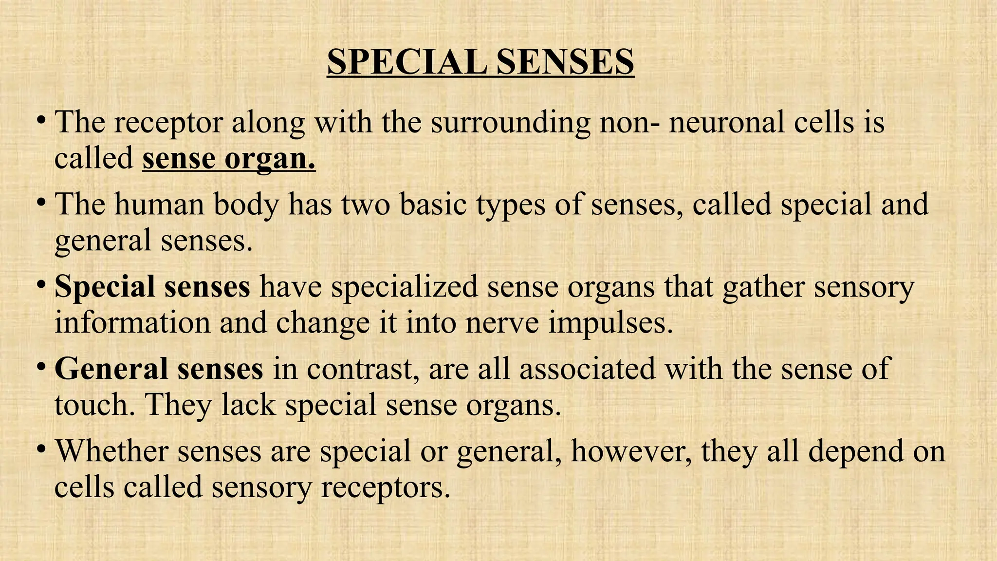 ANATOMY AND PHYSIOLOGY OF SPECIAL SENSES.pptx