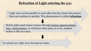 ANATOMY AND PHYSIOLOGY OF SPECIAL SENSES.pptx