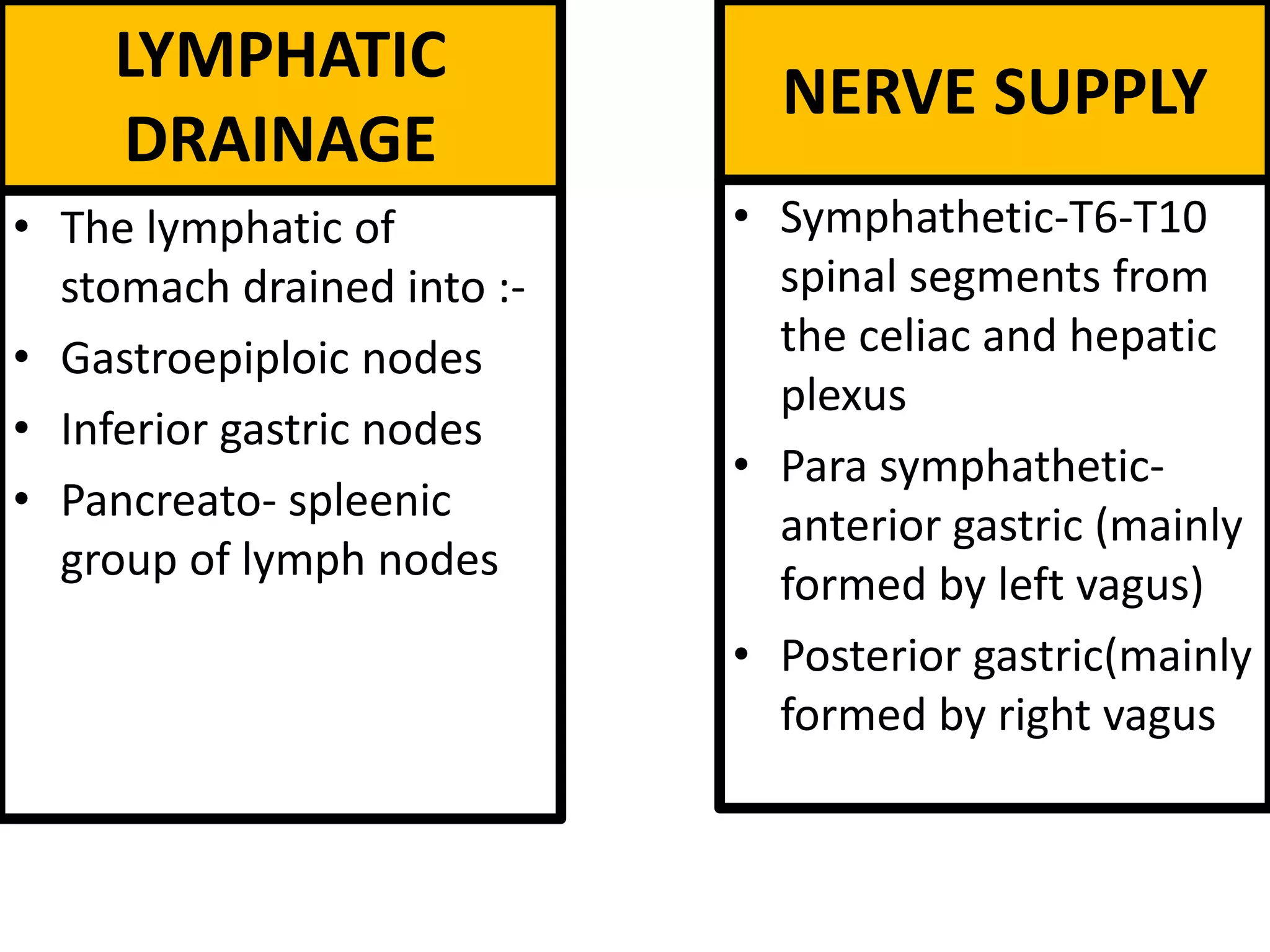 Anatomy and physiology of stomach and its interpretations | PPTX