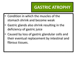 Anatomy and physiology of stomach and its interpretations | PPTX