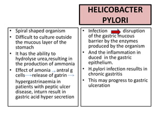 Anatomy and physiology of stomach and its interpretations | PPTX