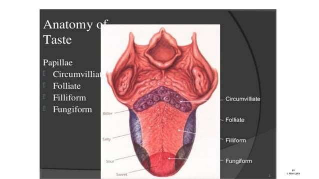 Anatomy and Physiology of Taste.pptx