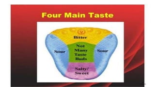 Anatomy and Physiology of Taste.pptx