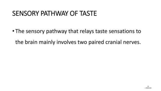 Anatomy and Physiology of Taste.pptx