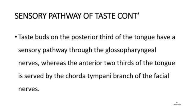 Anatomy and Physiology of Taste.pptx