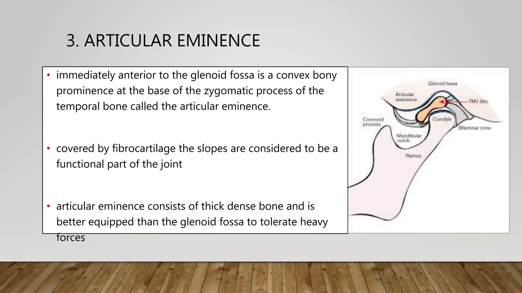 Anatomy and physiology of temporomandibular joint | PPTX