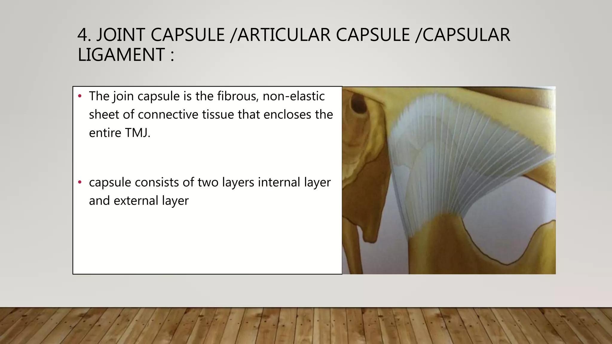 Anatomy and physiology of temporomandibular joint | PPTX