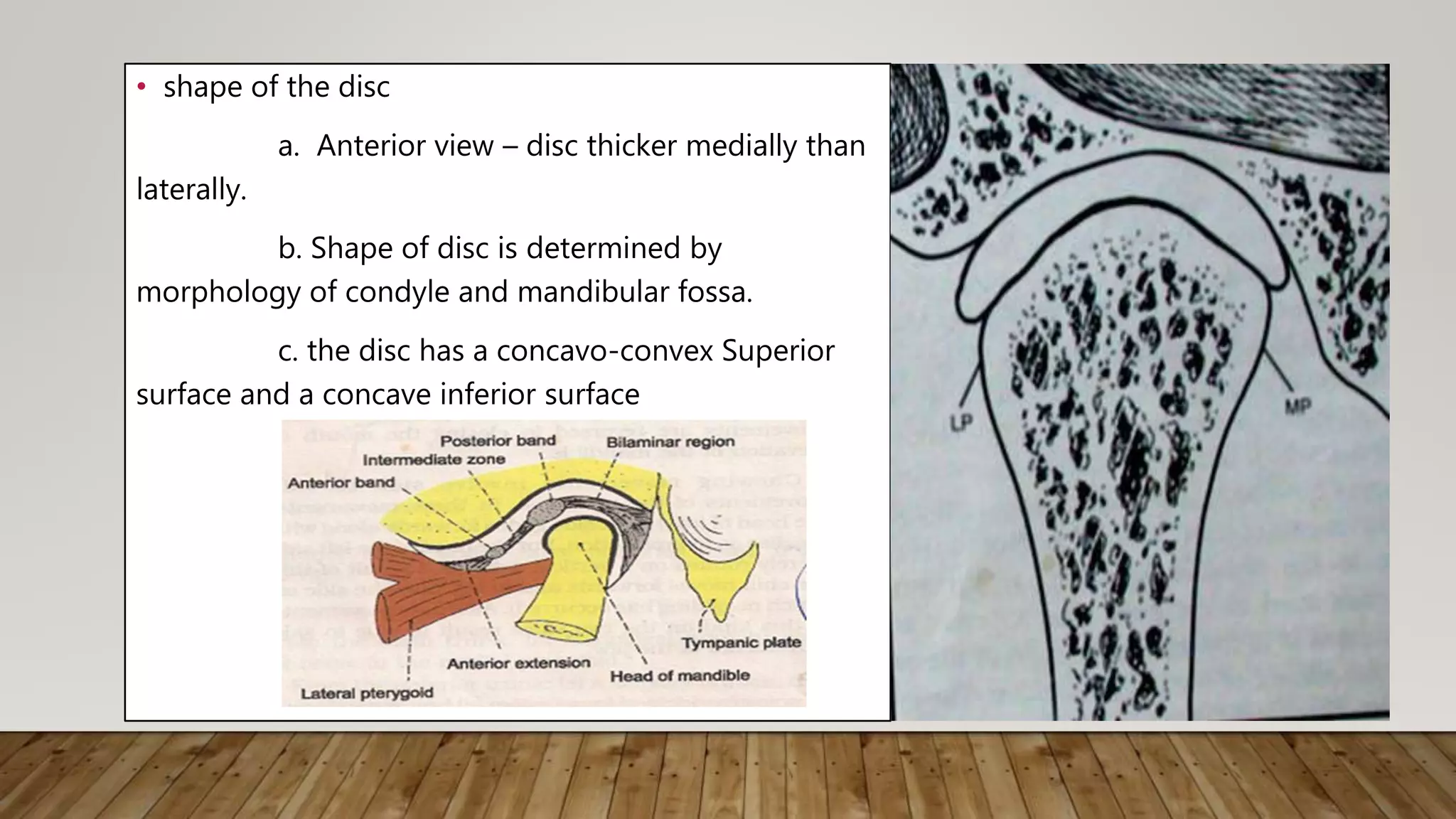 Anatomy and physiology of temporomandibular joint | PPTX